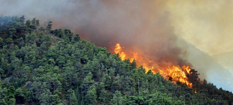 Wildfires Rage in Aberdare and Mt Kenya Forests - African Watch
